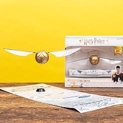 Geschenke für 14-jährige Teenager, Harry Potter Fans